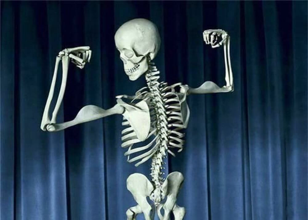 Strong Bones Life Miracle Natural Health And Ecological Consumer Strong Bones Life Miracle Natural Health And Ecological Consumer